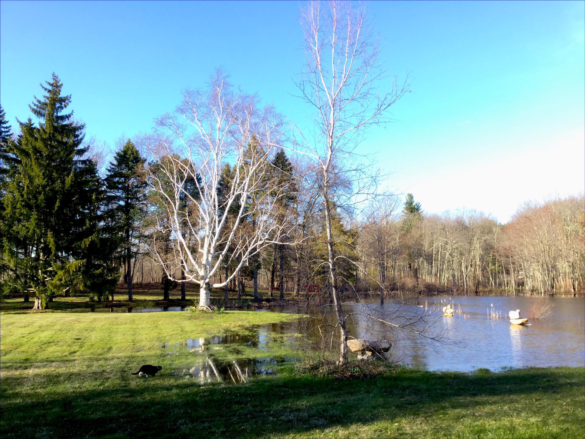 The Land – Someday Farm